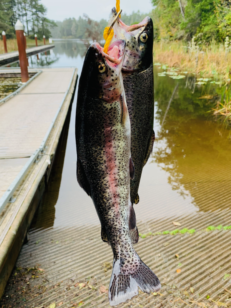 Fishing Gear You Can Trust - Coastal Crust Tackle